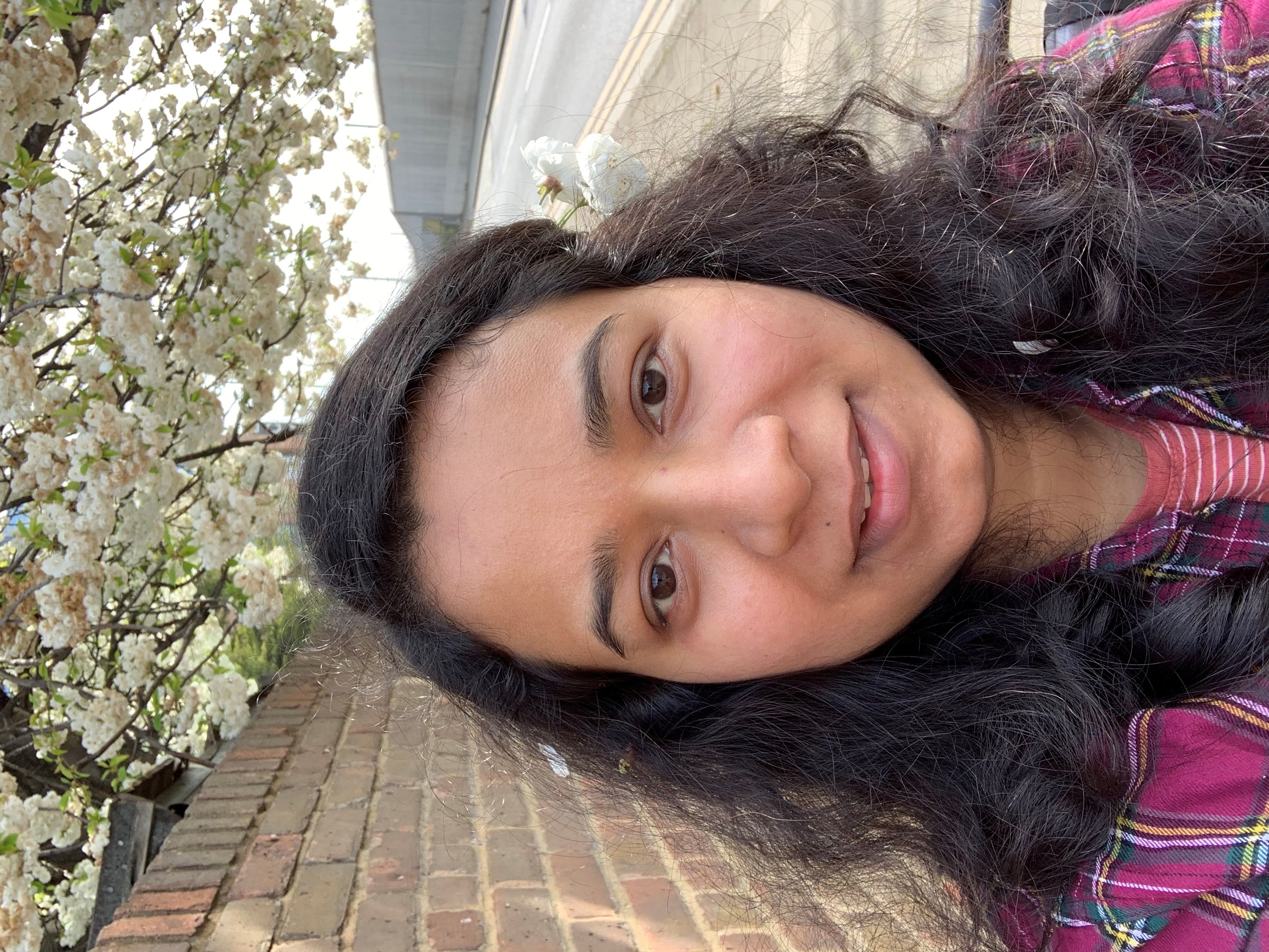 New Media Reforms in Bangladesh Introduced to Replace Hasina-Era Journalism | Al Jazeera Media ...